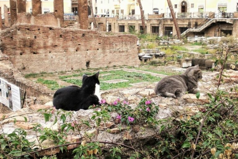 TOP 35 THINGS TO DO IN ROME, ITALY - Life in Italy