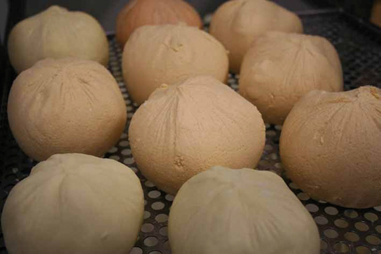 The 2023 Cheese Festival: A Taste of Dairy Excellence - Life in Italy