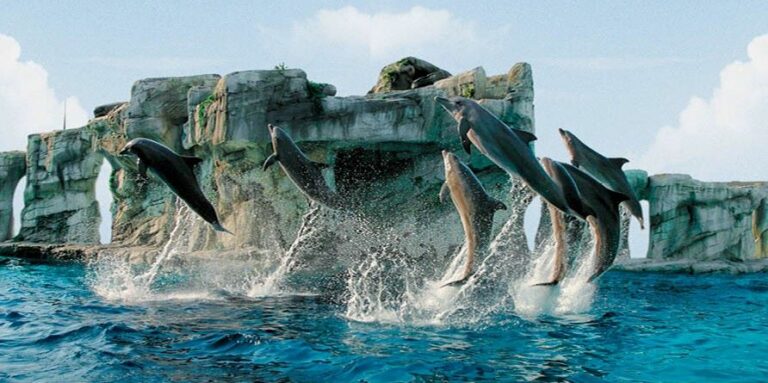 Zoos in Italy: must-visit destinations - Life in Italy