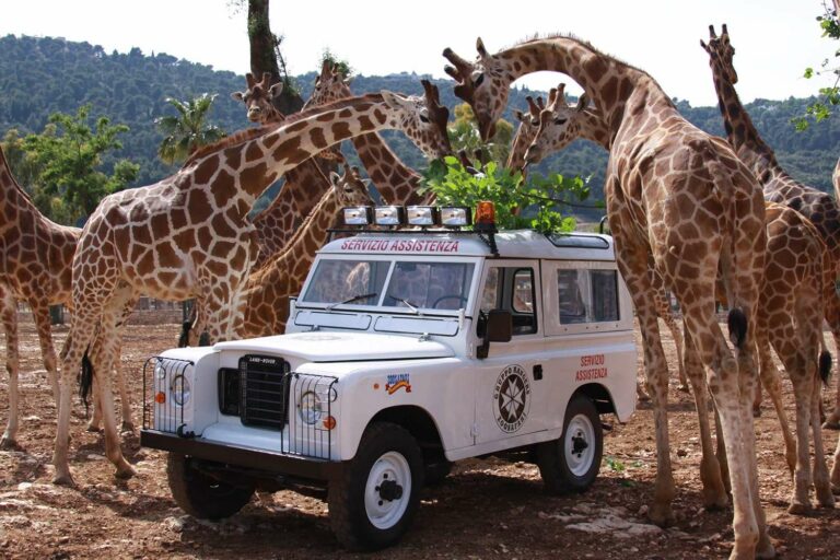Zoos in Italy: must-visit destinations - Life in Italy
